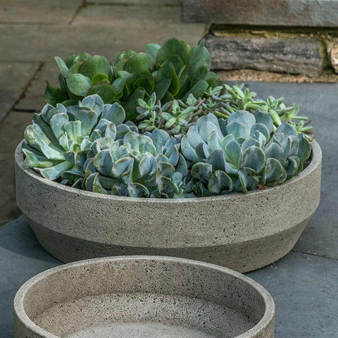Campania Beveled Terrace Bowl - Marquis Gardens – Marquis Water Gardens